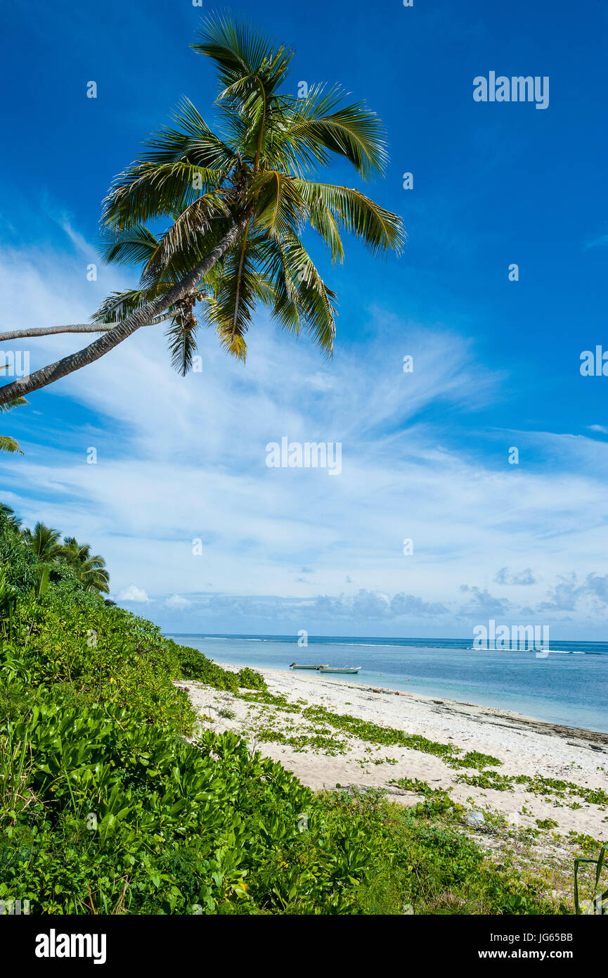 Palm fringed kolovai beach hi-res stock photography and images - Alamy