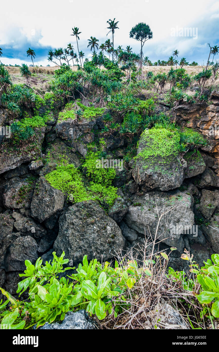 The rocky coast around Ha'ateiho, Tongatapu, Tonga, South Pacific Stock ...