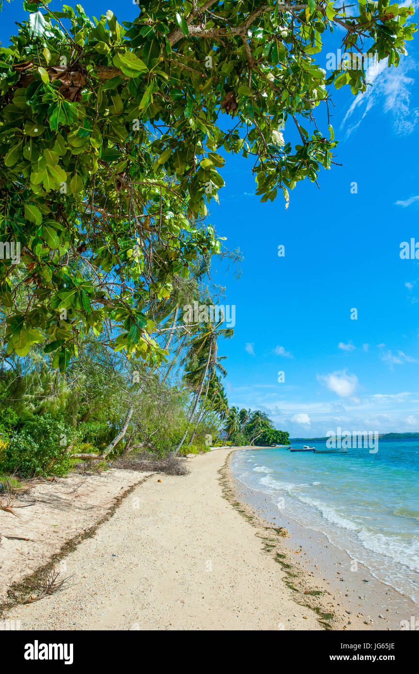 Vava'u island of tonga hi-res stock photography and images - Alamy