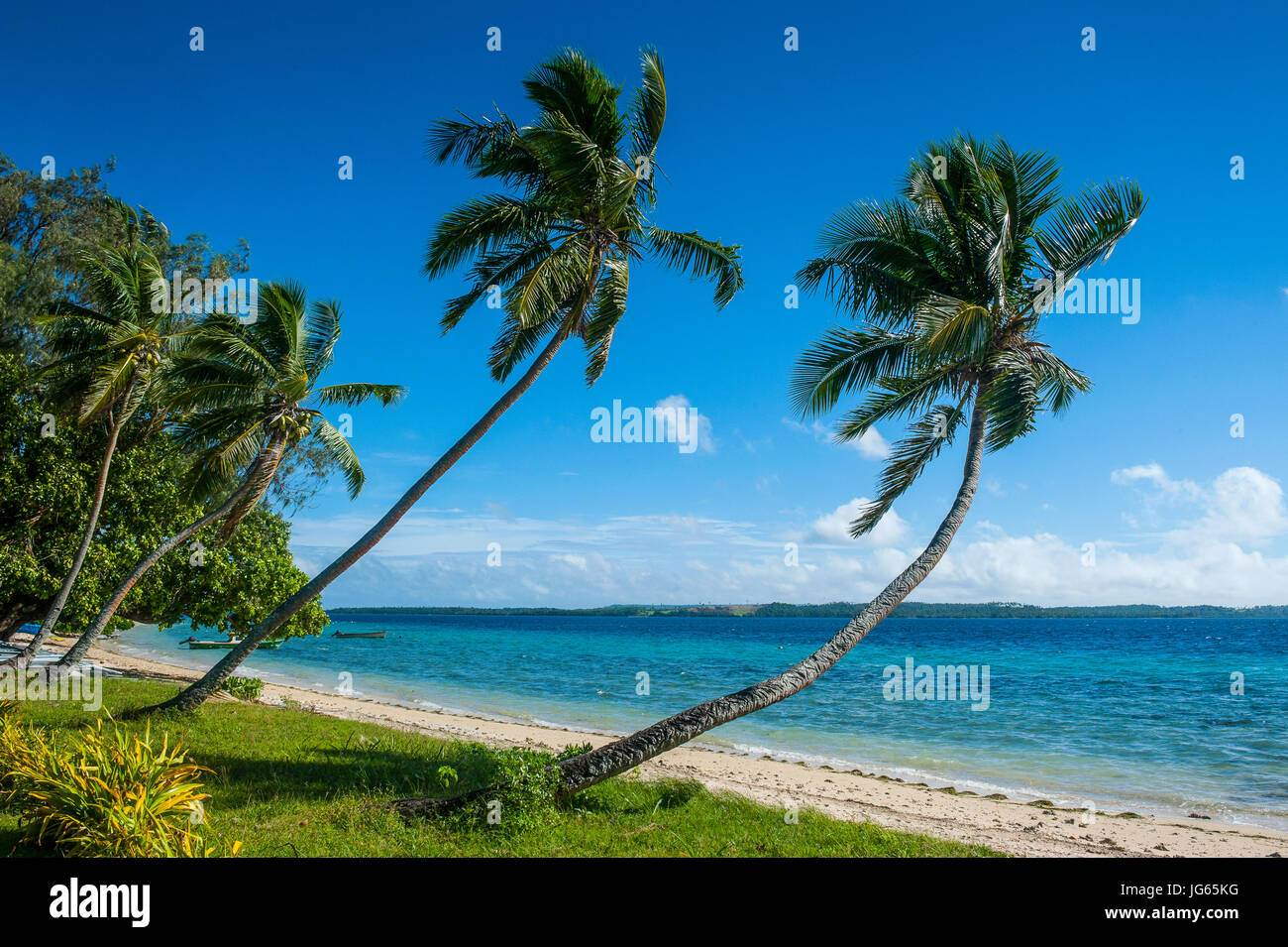 Palm fringed white sand beach on an islet of Vava´u, Vavau islands ...
