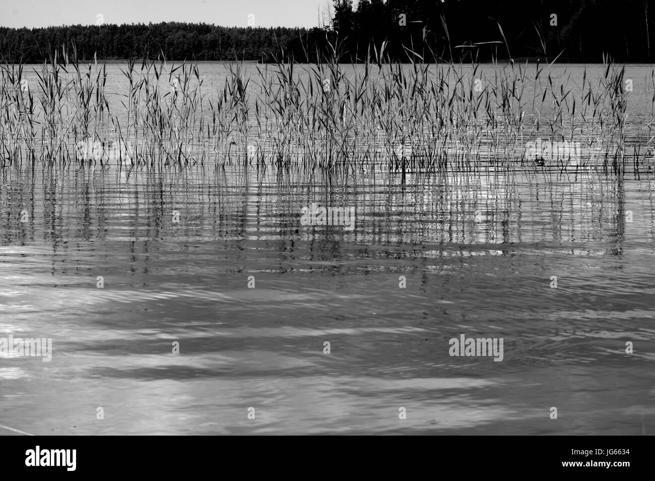 Lake, Water, Pond, Nature Stock Photo - Alamy