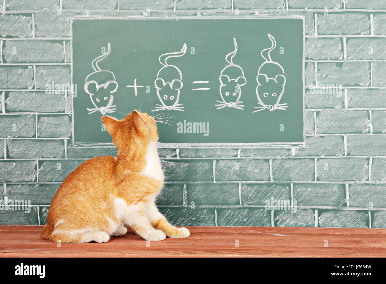 Education idea about foxy Cat studied mathematics on example of ...