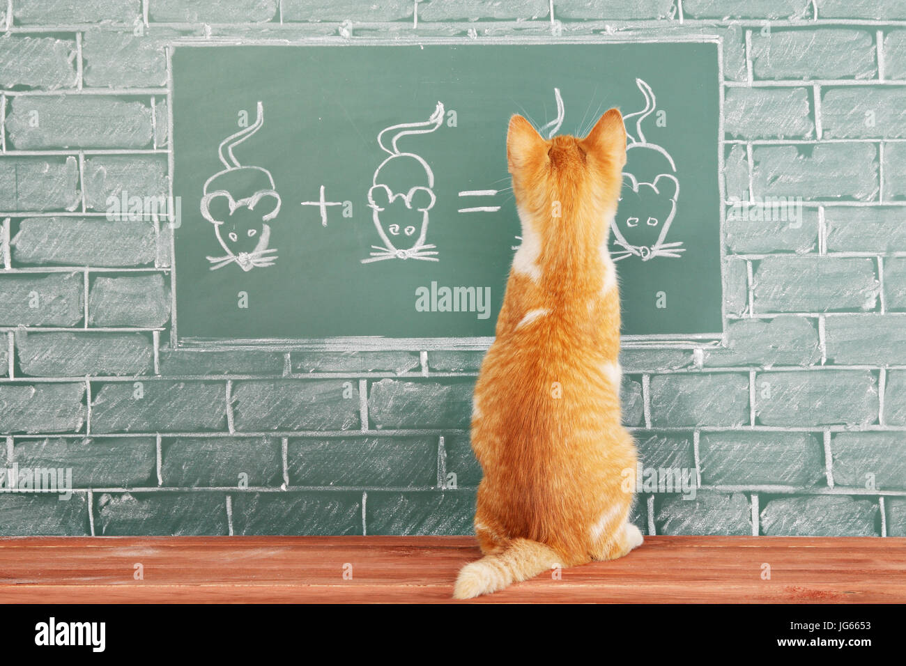 Education idea about foxy Cat studied mathematics on example of ...