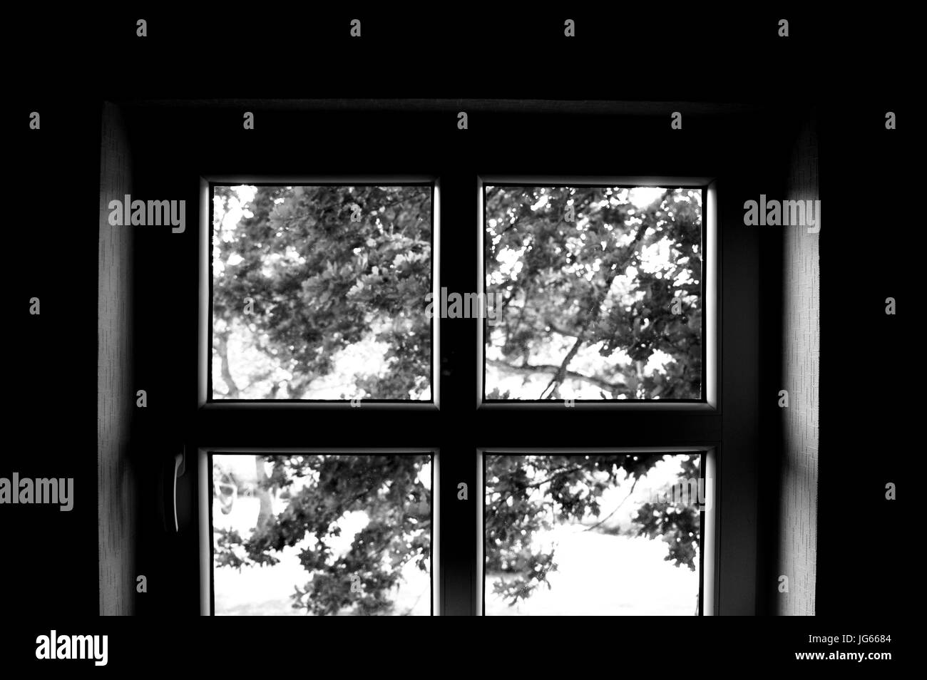 Window, Windows, Window frame, Window view, Architecture Stock Photo ...