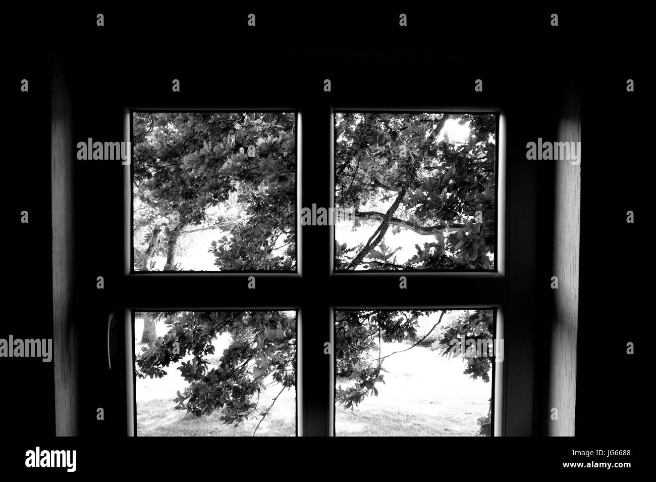 Window, Windows, Window frame, Window view, Architecture Stock Photo ...