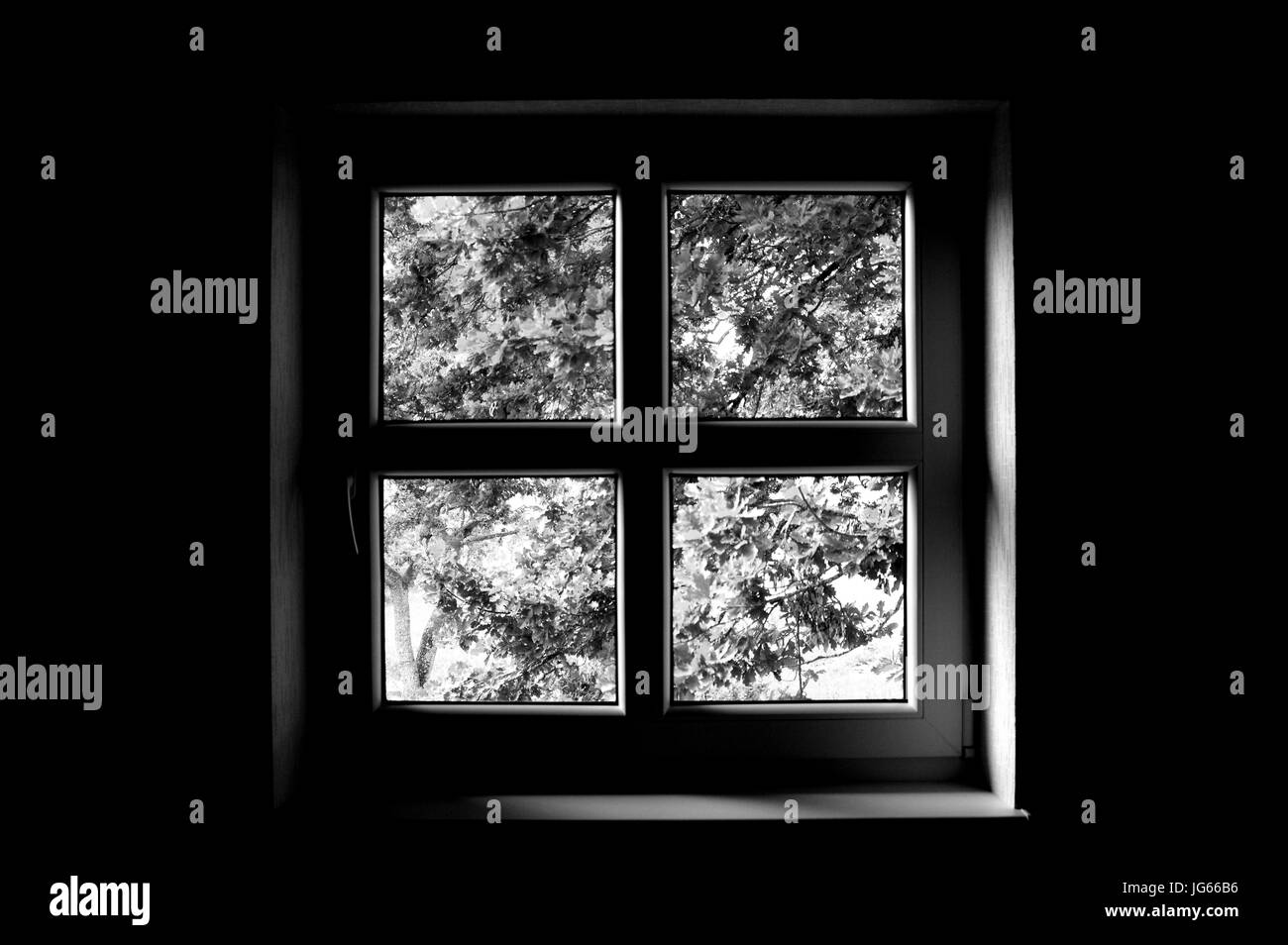 Window, Windows, Window frame, Window view, Architecture Stock Photo ...