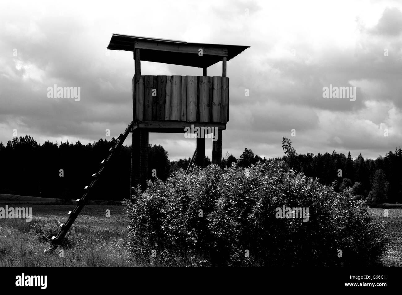 Hunter tower, Tower, Hunting Stock Photo - Alamy