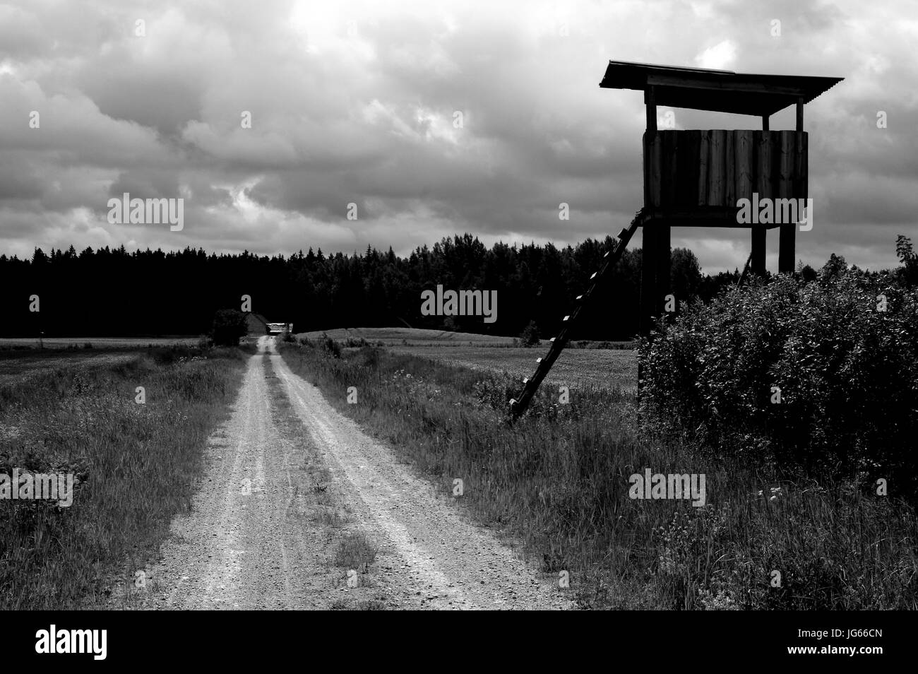 Hunter tower, Tower, Hunting Stock Photo - Alamy