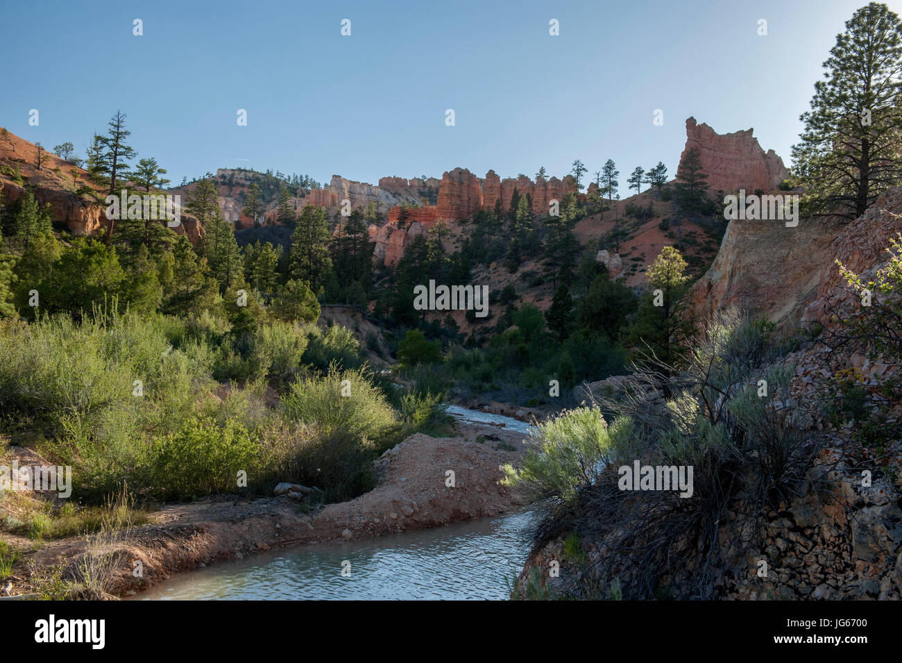 Water Canyon in Bryce Canyon National Park, Utah Stock Photo - Alamy