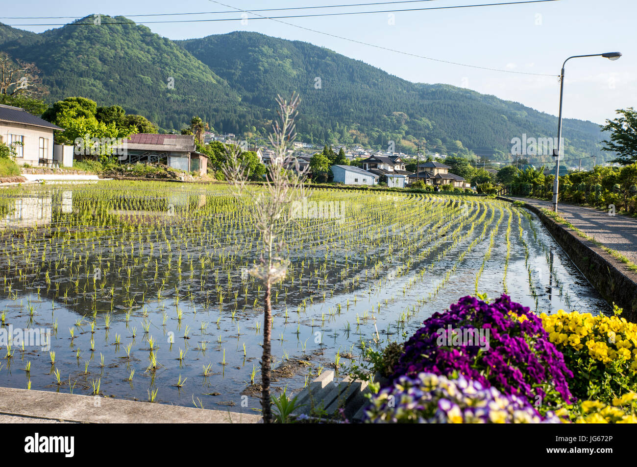 Yufuin hi-res stock photography and images - Alamy