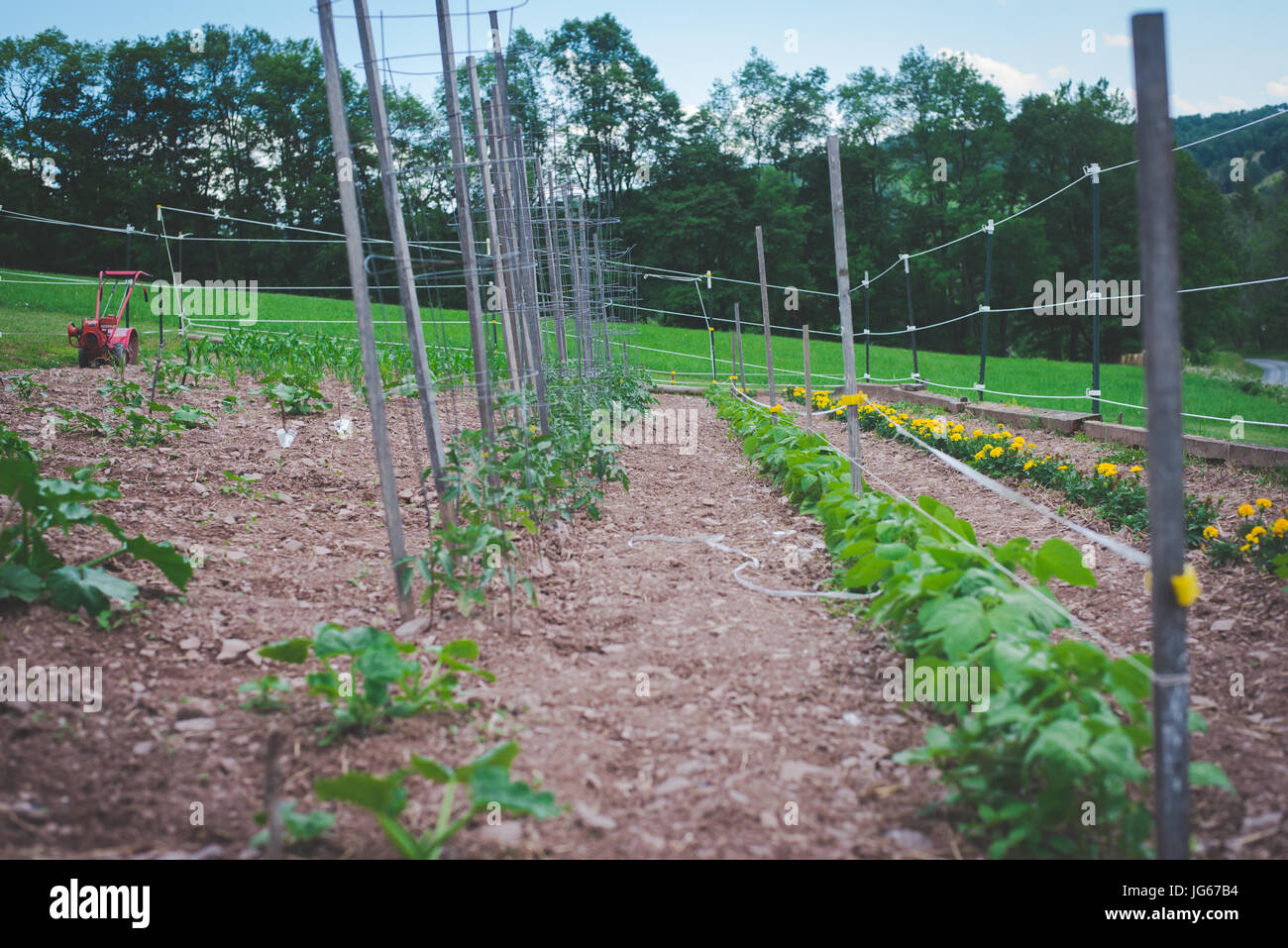Community garden planting seeds hi-res stock photography and images - Alamy
