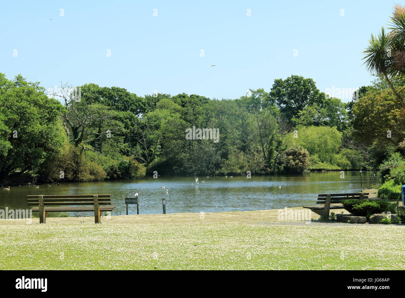 Poole park hi-res stock photography and images - Alamy
