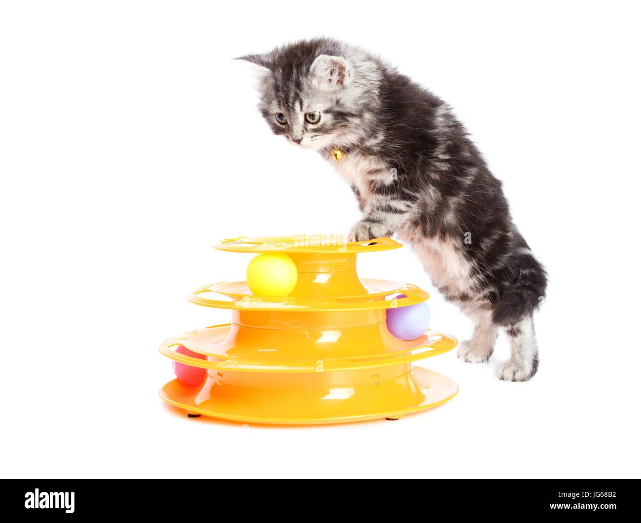 Cats playing toy hi-res stock photography and images - Alamy