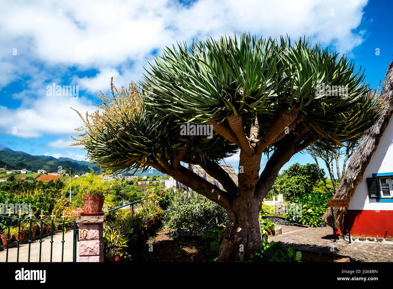 Santana in Madeira is a beautiful village on the north coast. is known ...