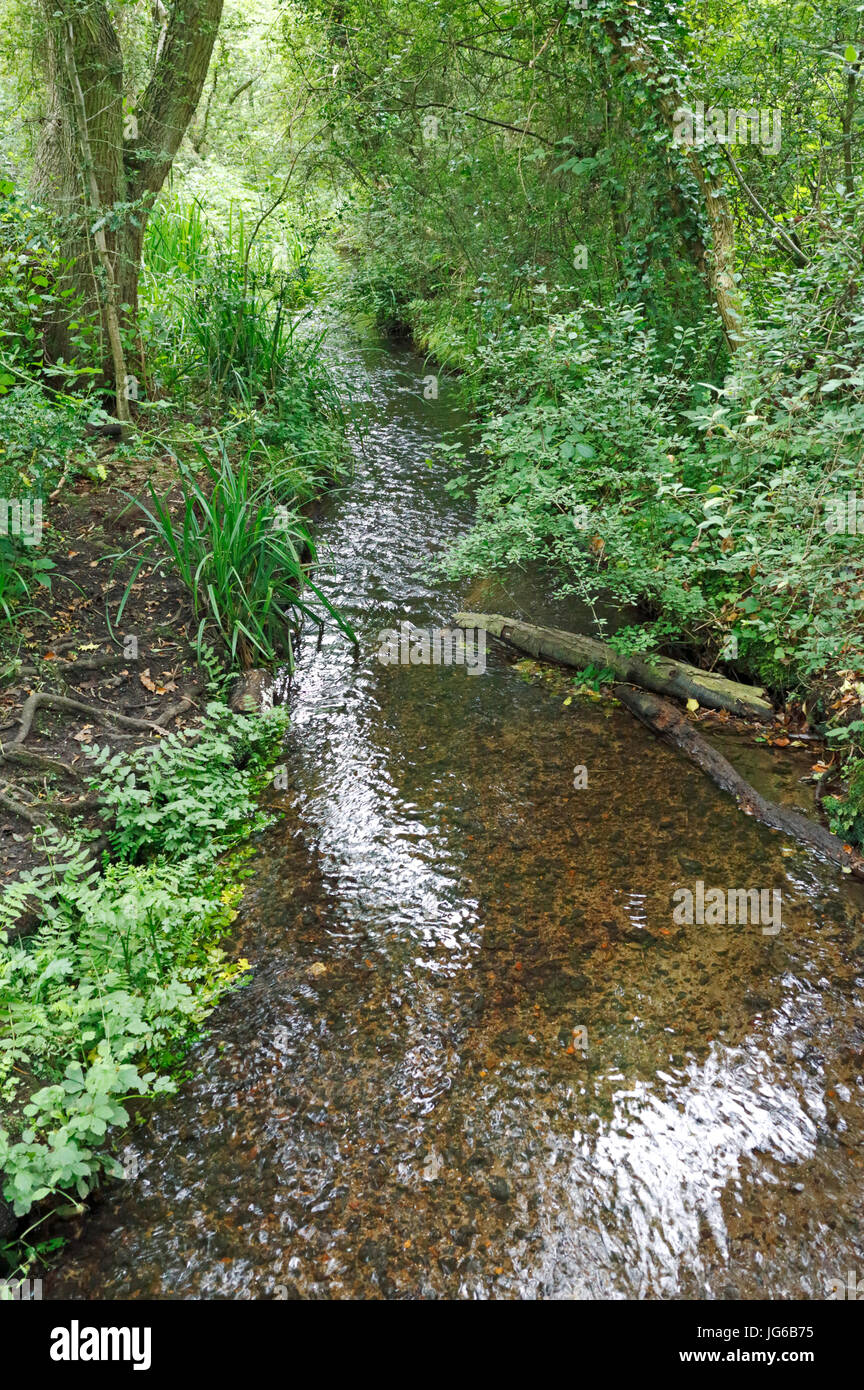 Foxs beck hi-res stock photography and images - Alamy