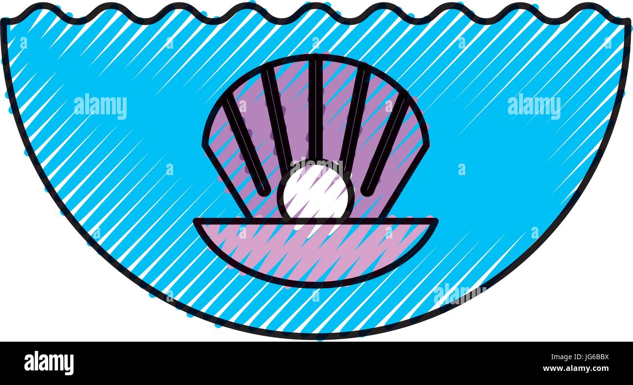 Sea shell isolated icon vector illustration design Stock Vector Image ...