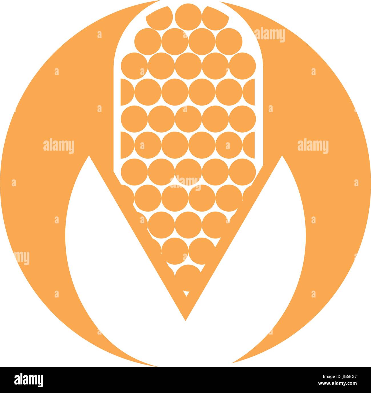 Native corn maize Stock Vector Images - Alamy