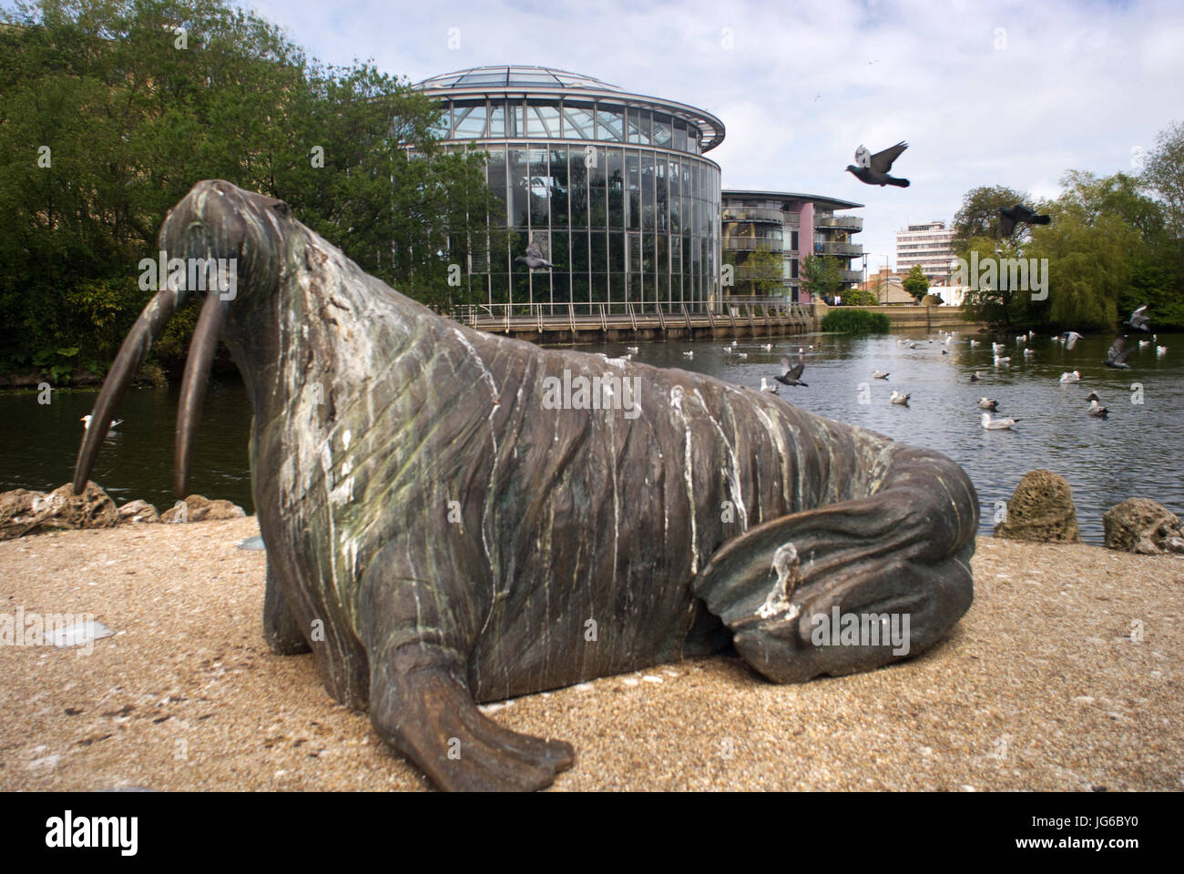 Walrus statue at Sunderland Museum and Winter Gardens Stock Photo - Alamy
