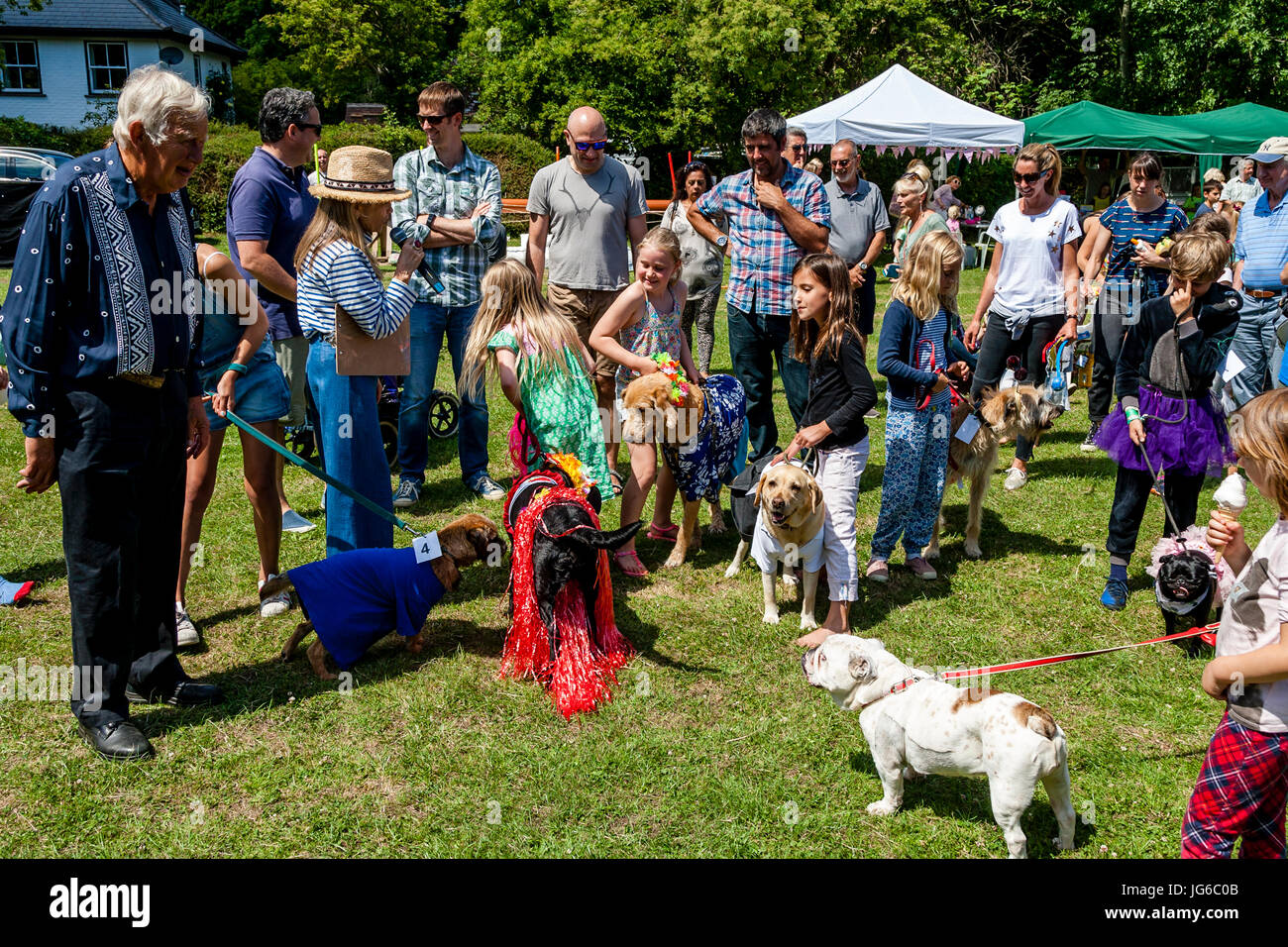 Village dog show hi-res stock photography and images - Alamy