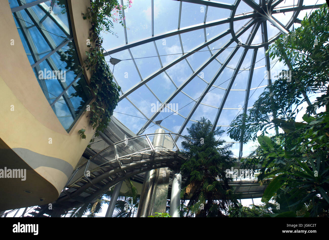 Sunderland Museum and Winter Gardens Stock Photo - Alamy