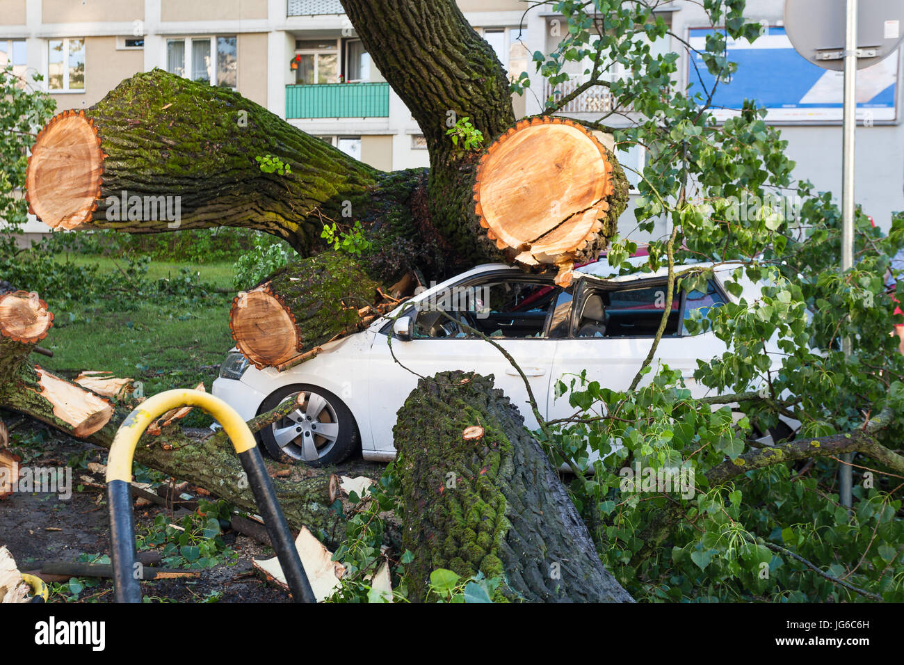 White passenger car crushed by fallen tree after severe storm Stock ...