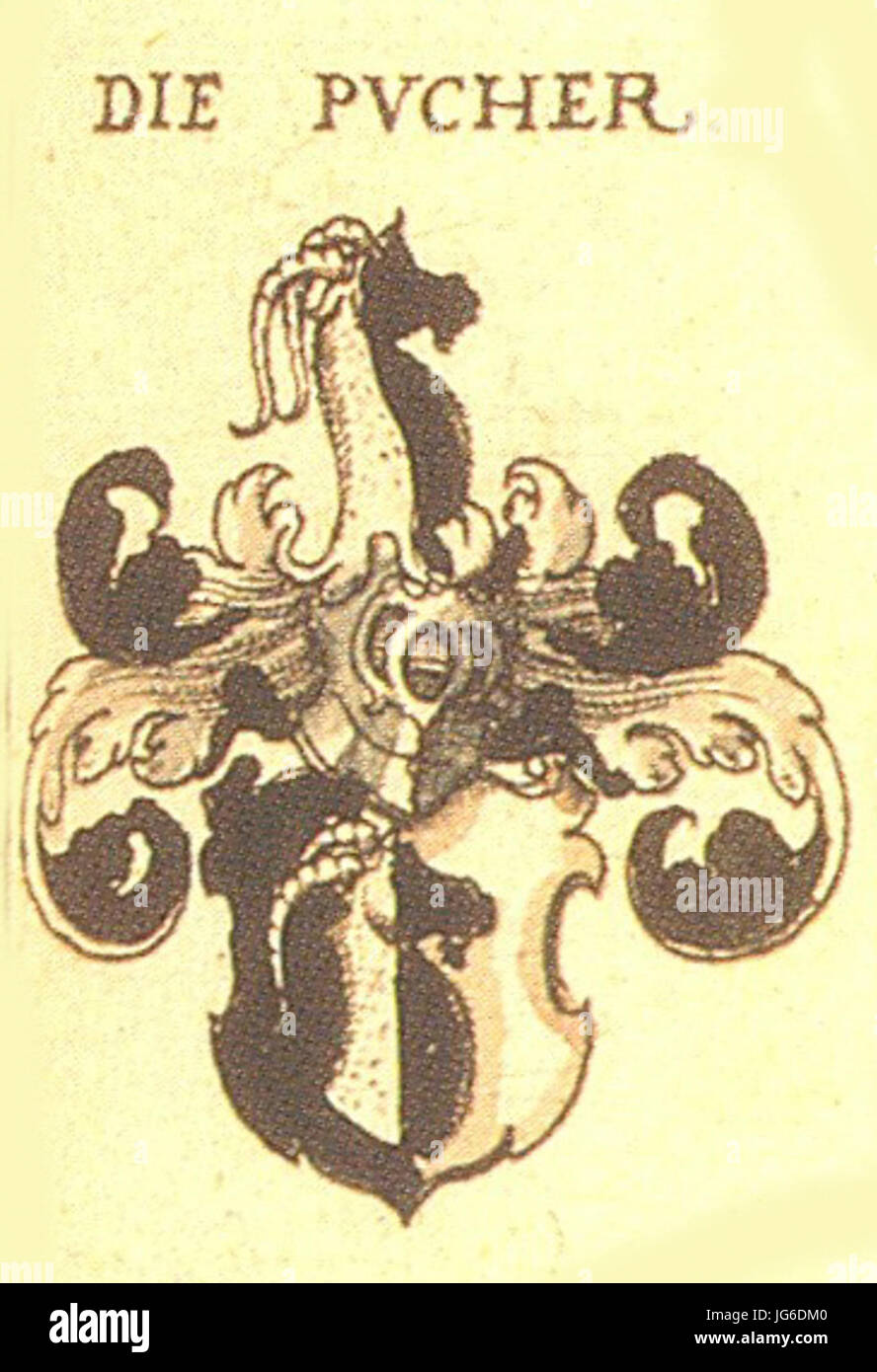 Pucher hi-res stock photography and images - Alamy