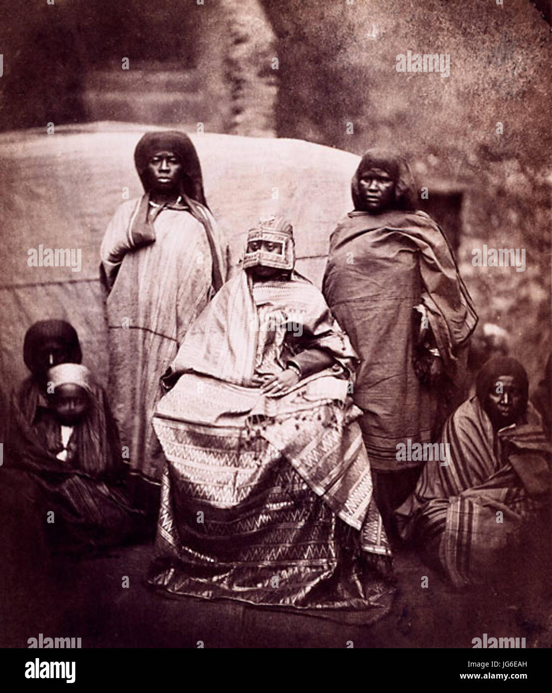 Queen of Mohéli Stock Photo - Alamy