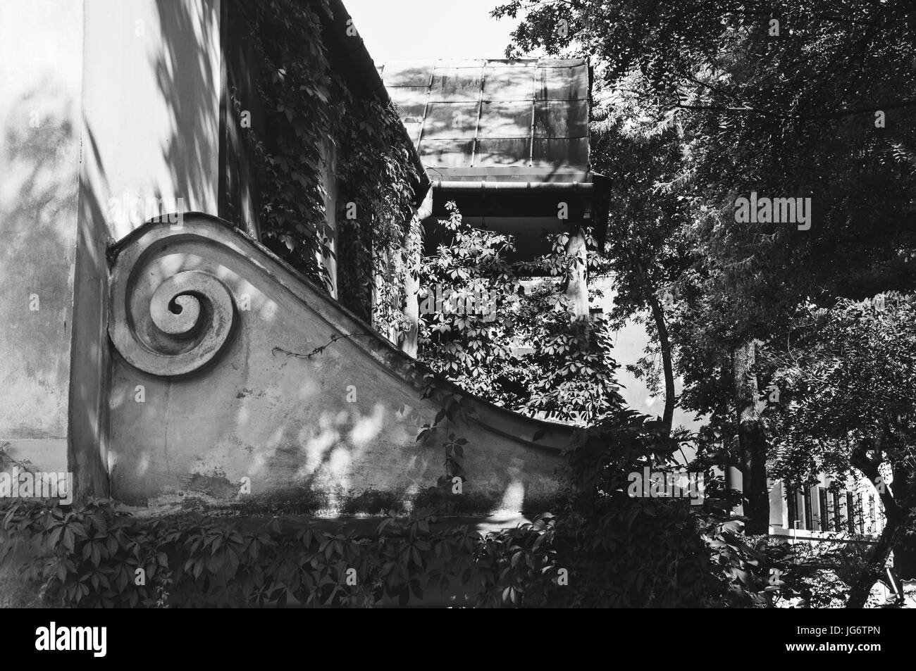 an old magic house in the park black and white Stock Photo - Alamy