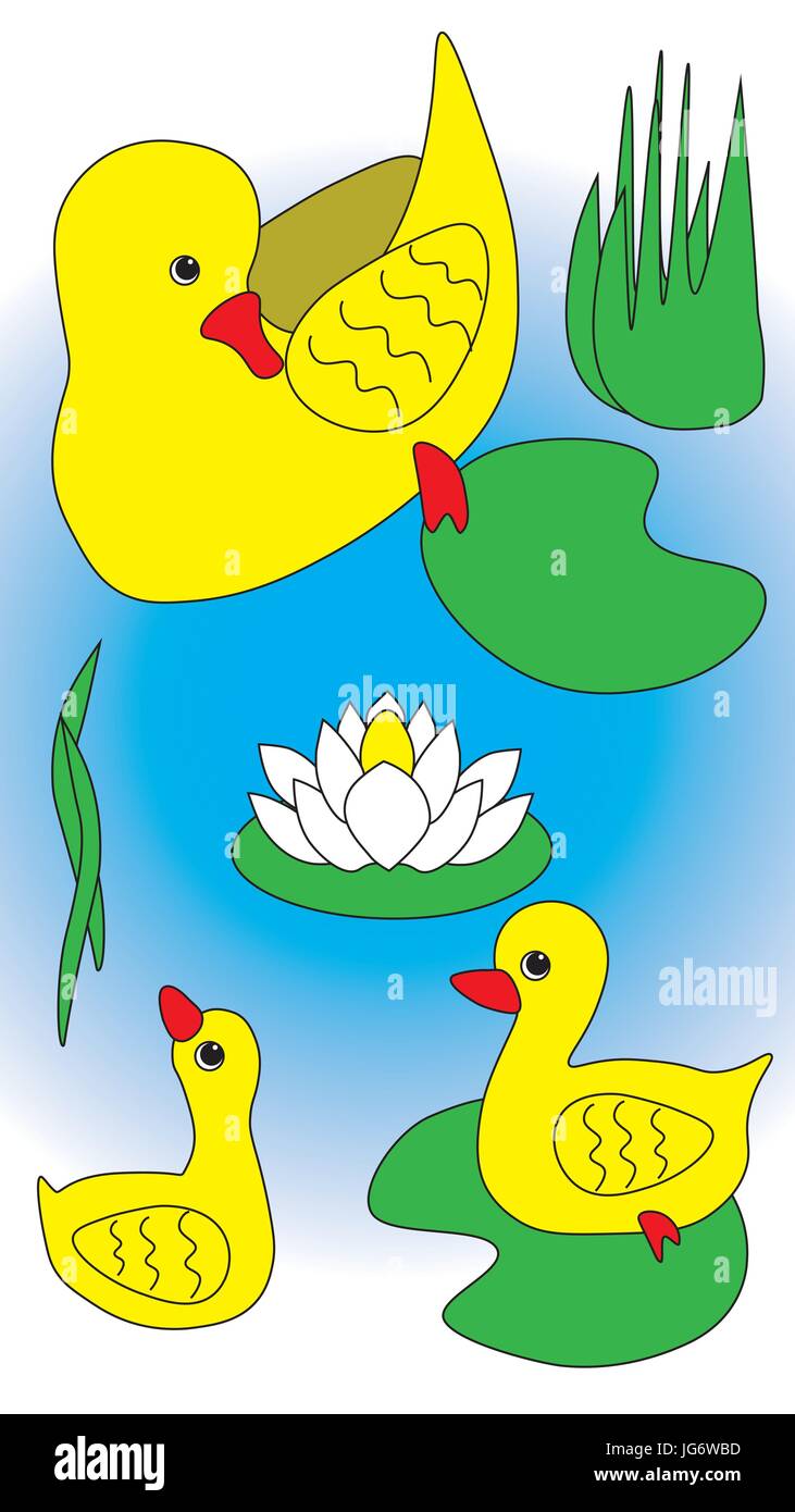 Two ducklings swimming Stock Vector Images - Alamy