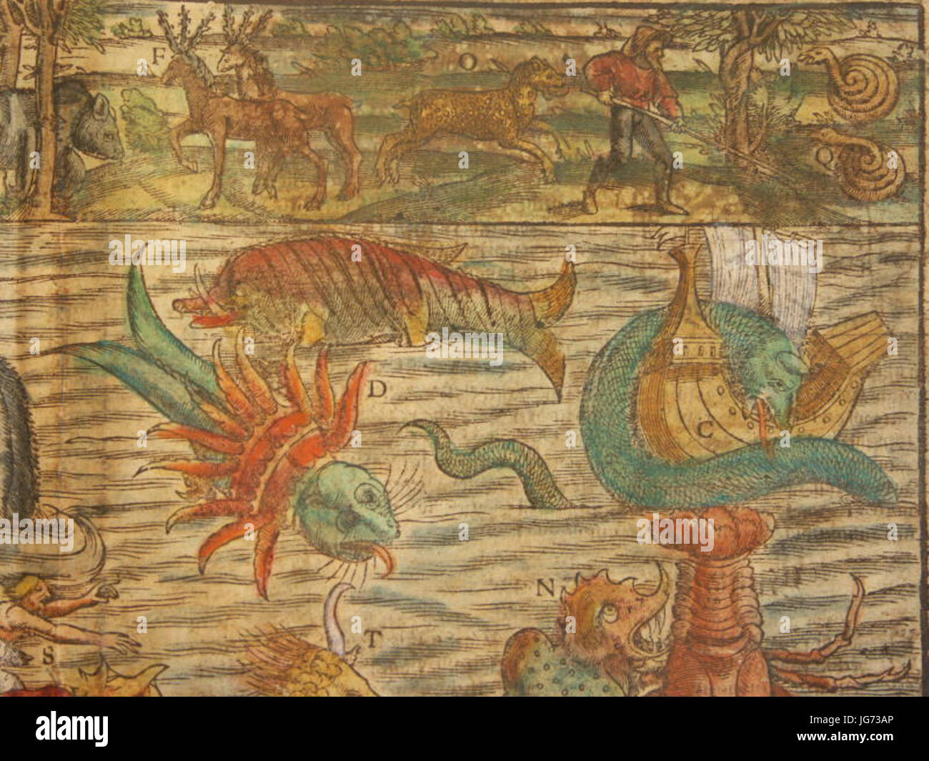 Mythical sea creatures hi-res stock photography and images - Alamy