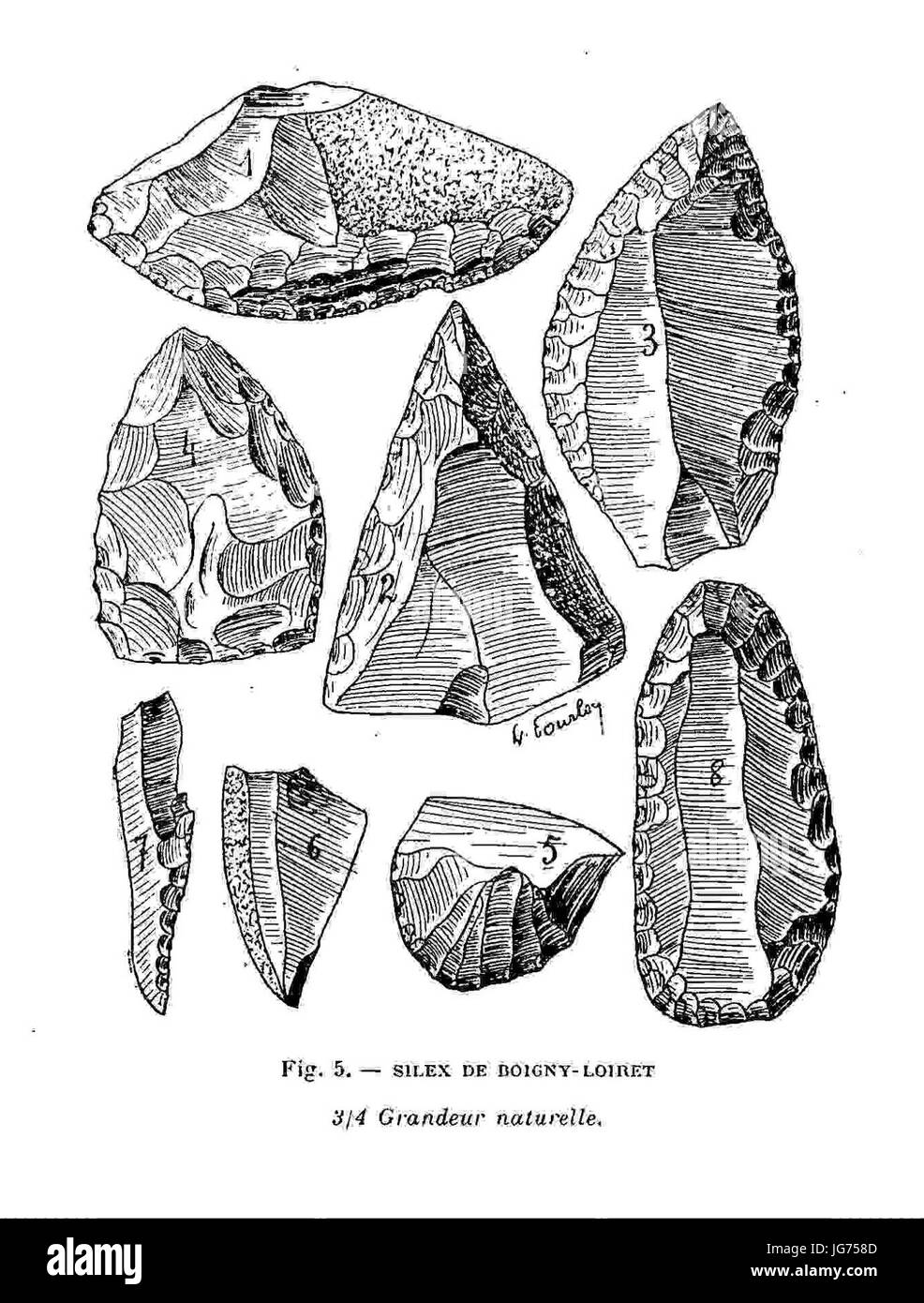 Silex Cut Out Stock Images & Pictures - Alamy