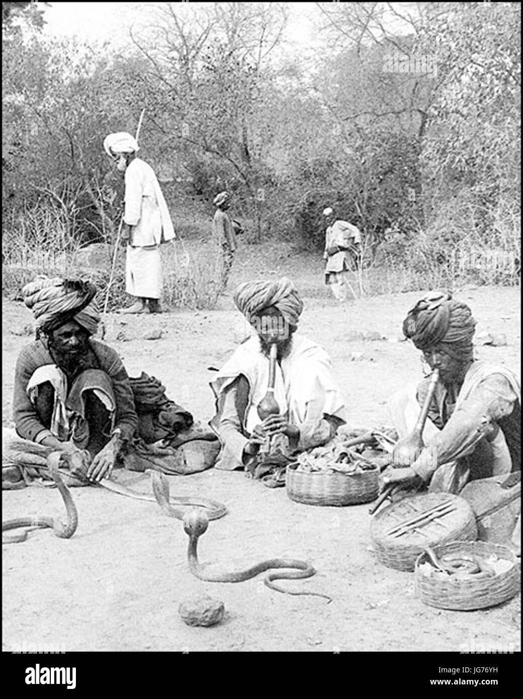 Exotic snakes Black and White Stock Photos & Images - Alamy