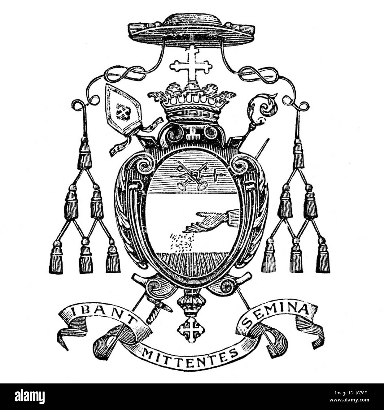 Stemma Black and White Stock Photos & Images - Alamy