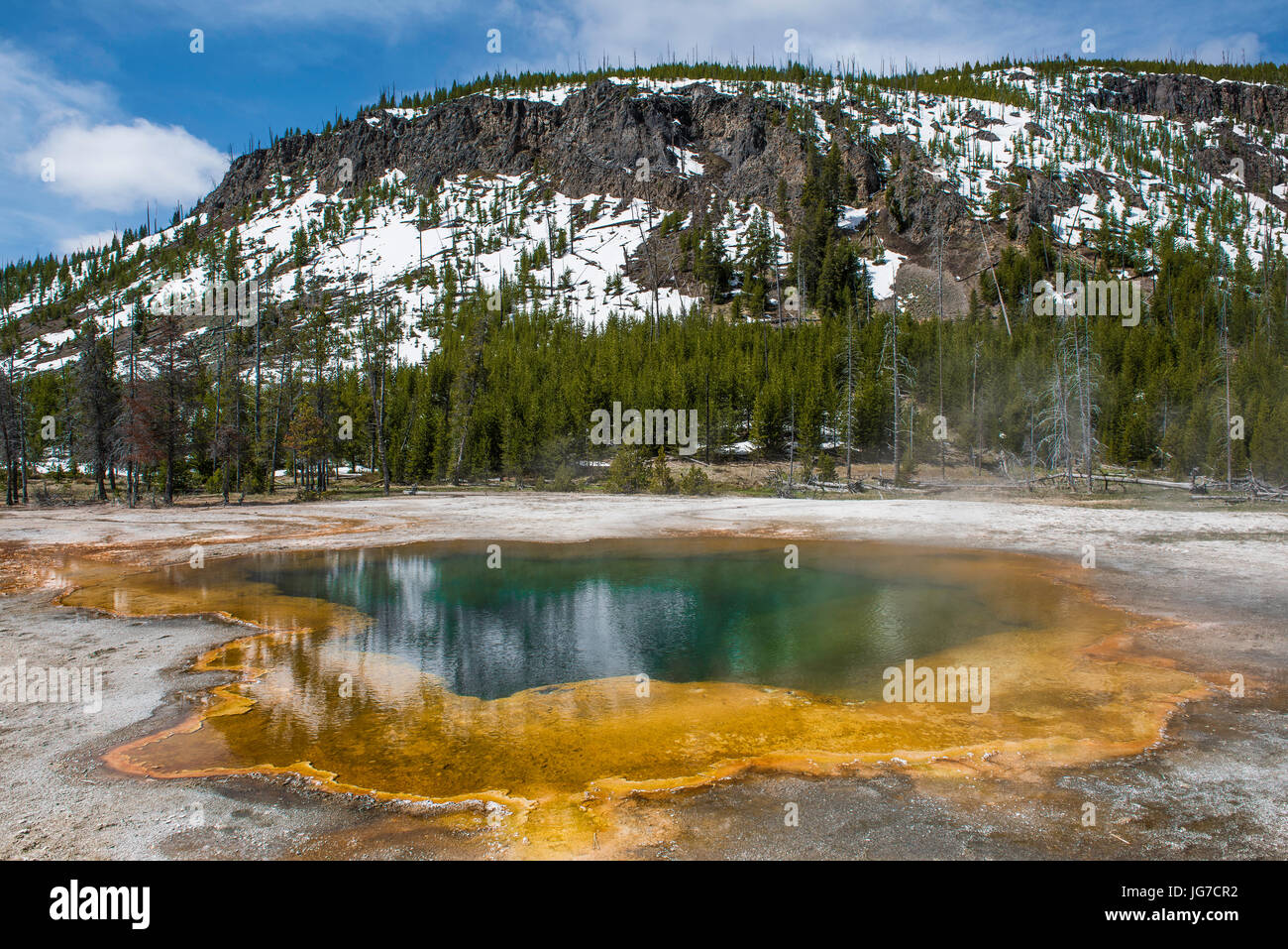 Thermal pool yellowstone national park usa algae hi-res stock ...
