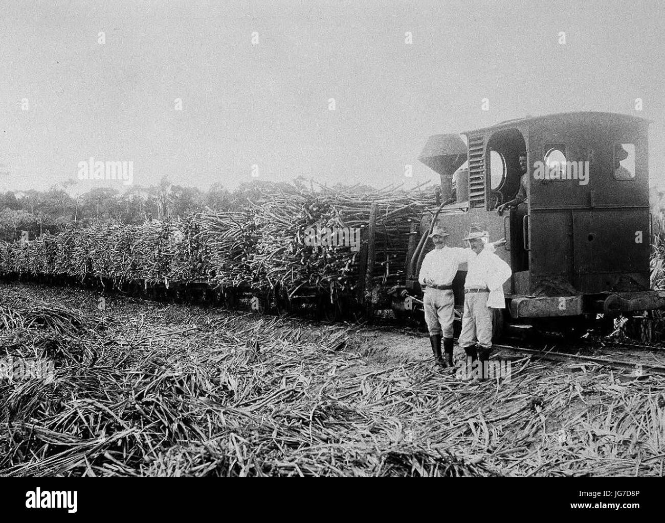 Plantage suriname hi-res stock photography and images - Alamy