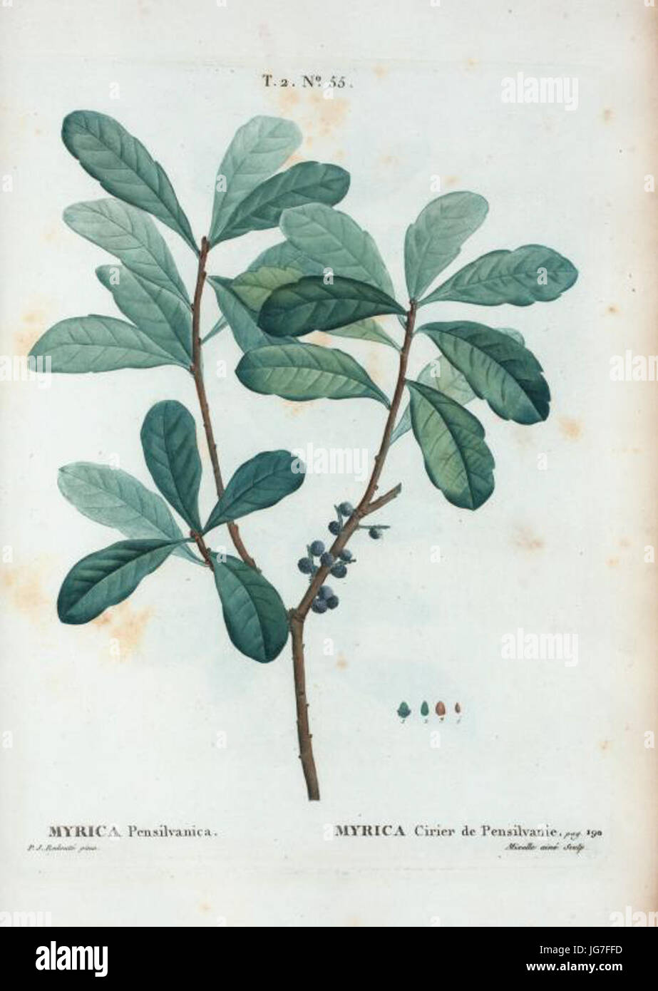 Map of morella hi-res stock photography and images - Alamy