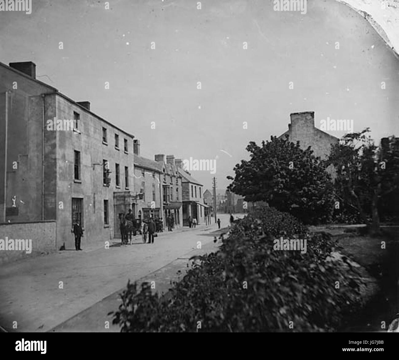 Insect bee friendly Black and White Stock Photos & Images - Alamy