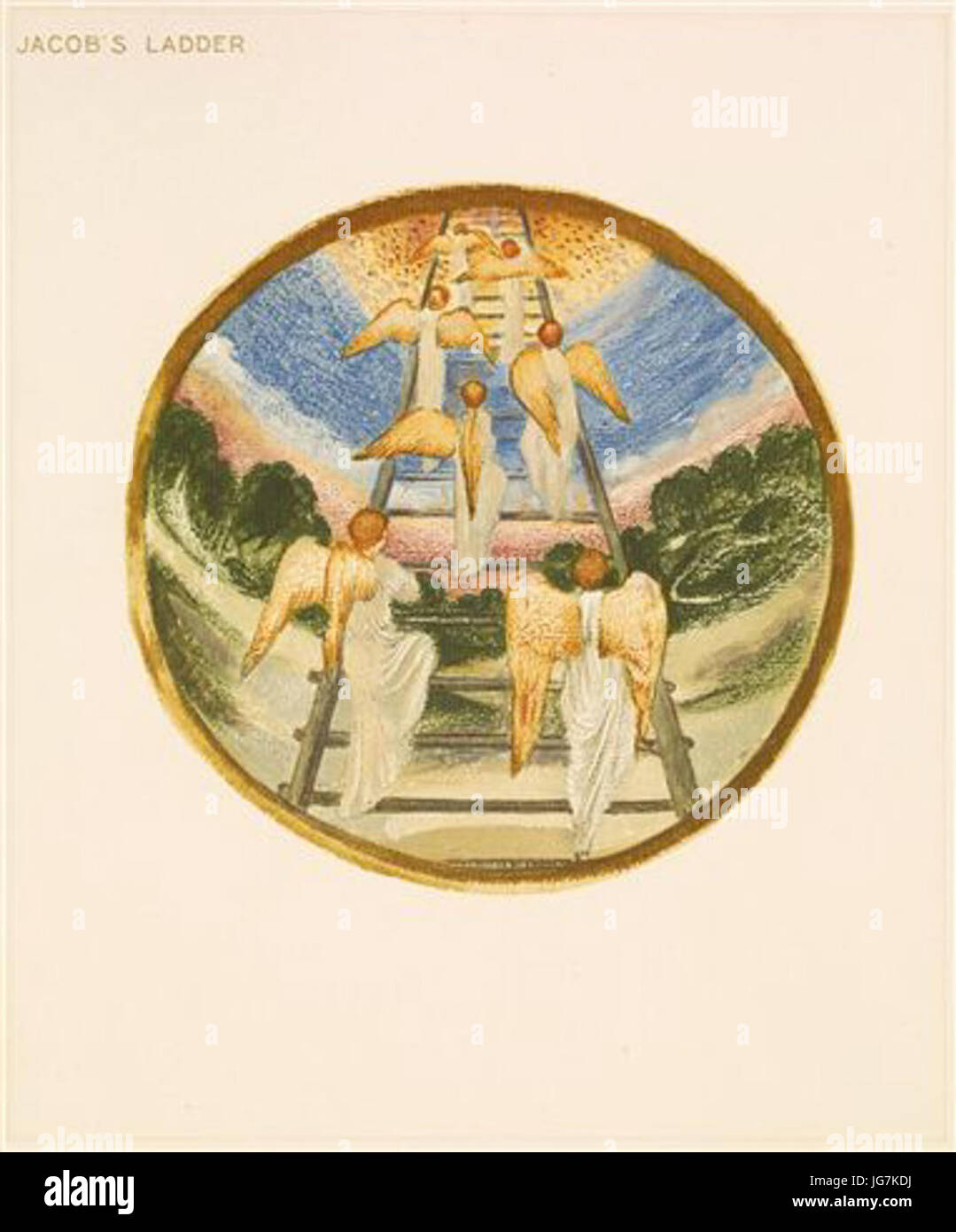 The Flower Book - Jacob s Ladder 1905 Stock Photo - Alamy