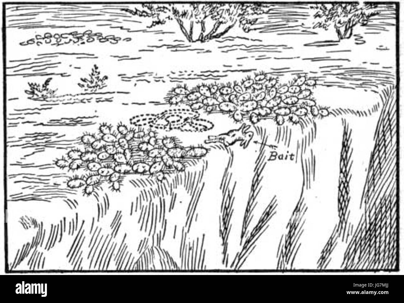 Wolf trap hi-res stock photography and images - Alamy