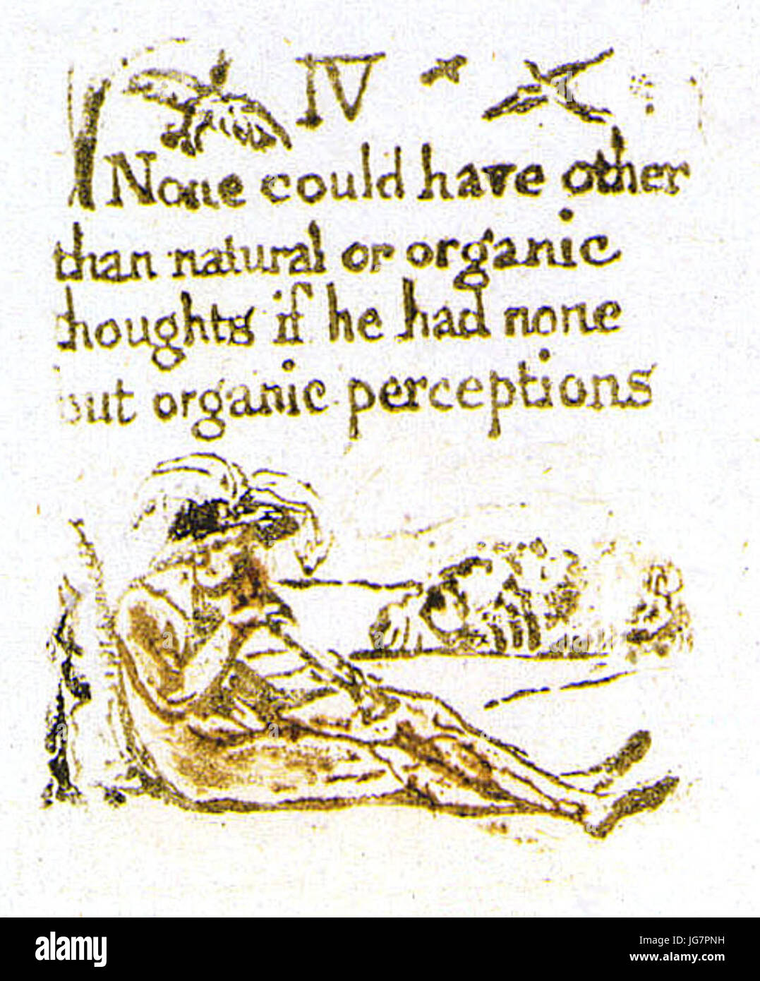 TNNR Series a Plate 7 28IV29 Stock Photo - Alamy