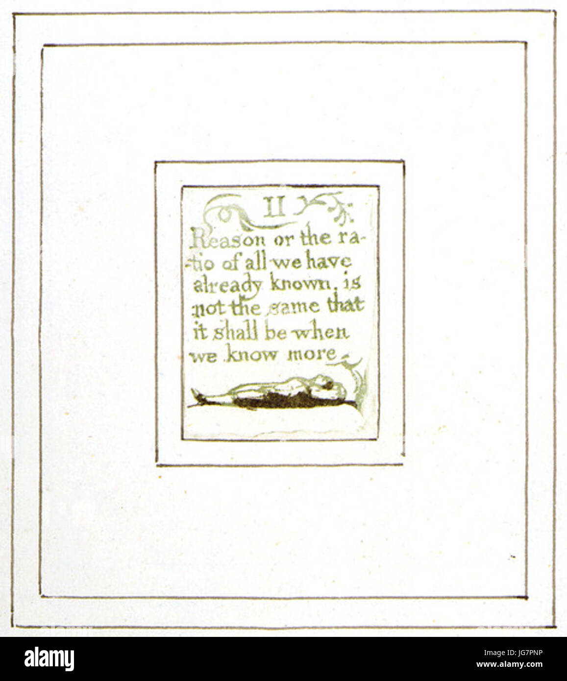 Anatomy series hi-res stock photography and images - Alamy