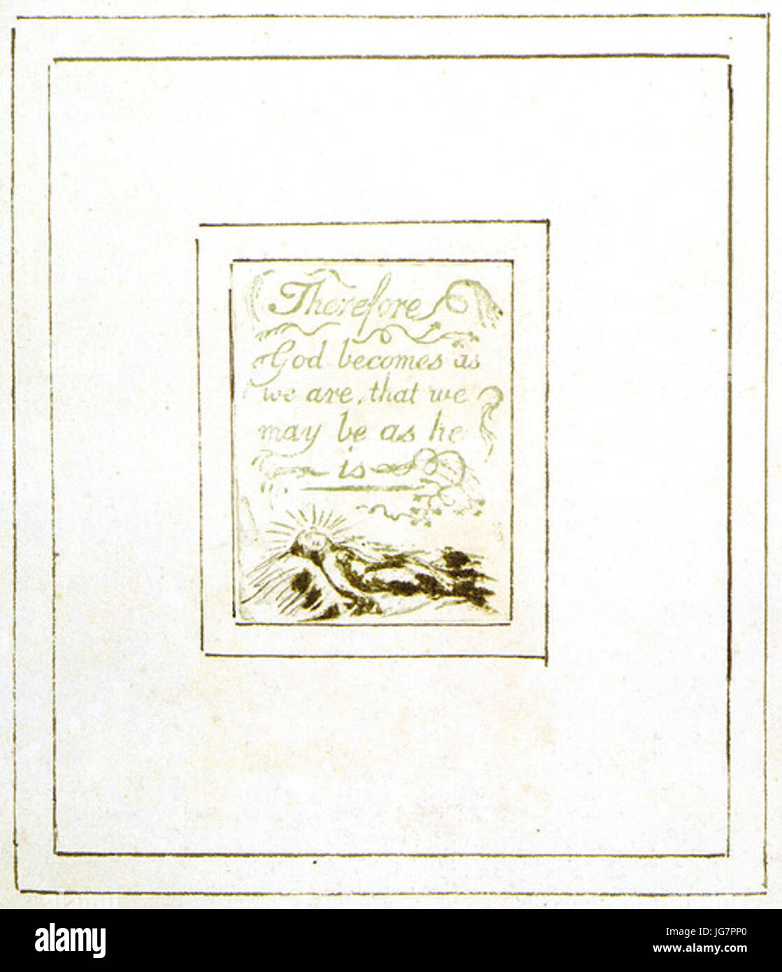 Taxonomic series hi-res stock photography and images - Alamy