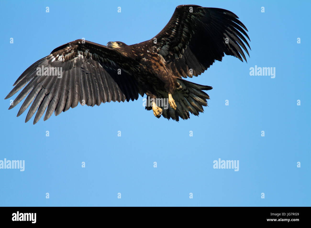 Mlaka hi-res stock photography and images - Alamy