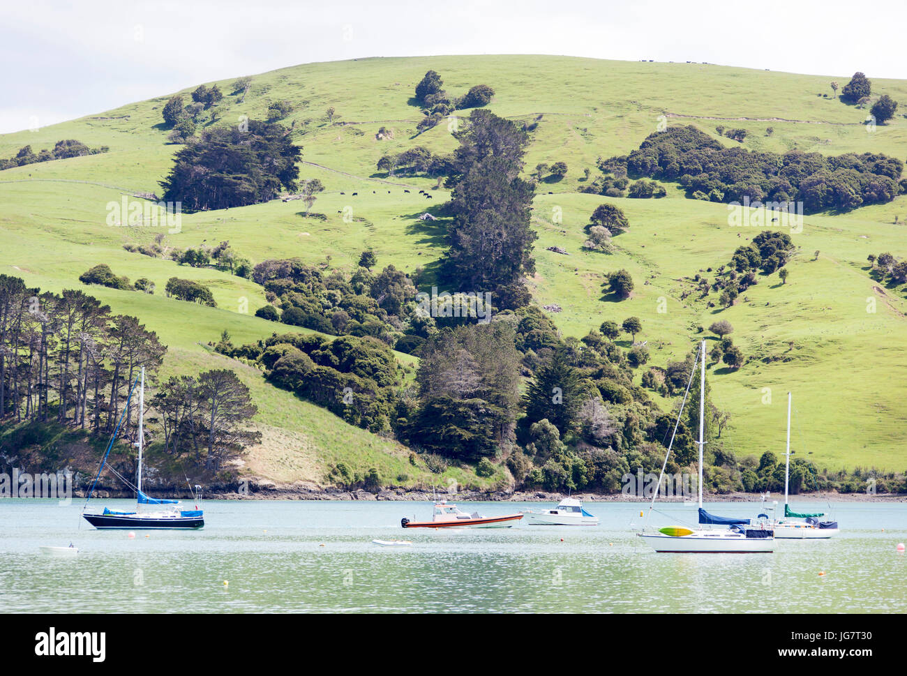 Yachts drifting in French Bay in Akaroa resort town (New Zealand Stock ...