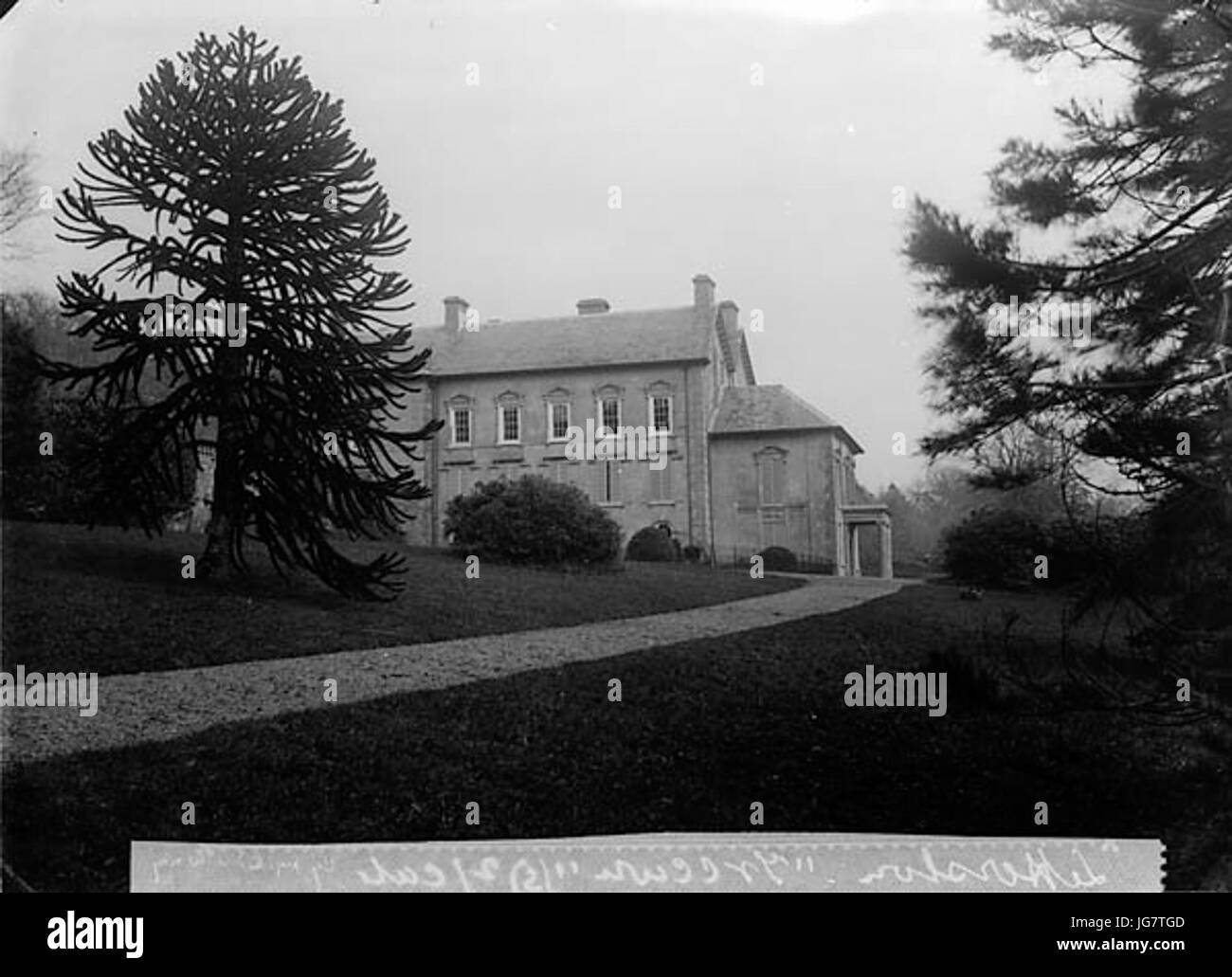 Trecwn Llanstinan NLW3363829 Stock Photo - Alamy