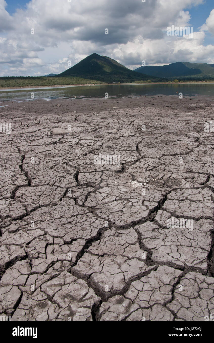 global warming in a lake Stock Photo - Alamy