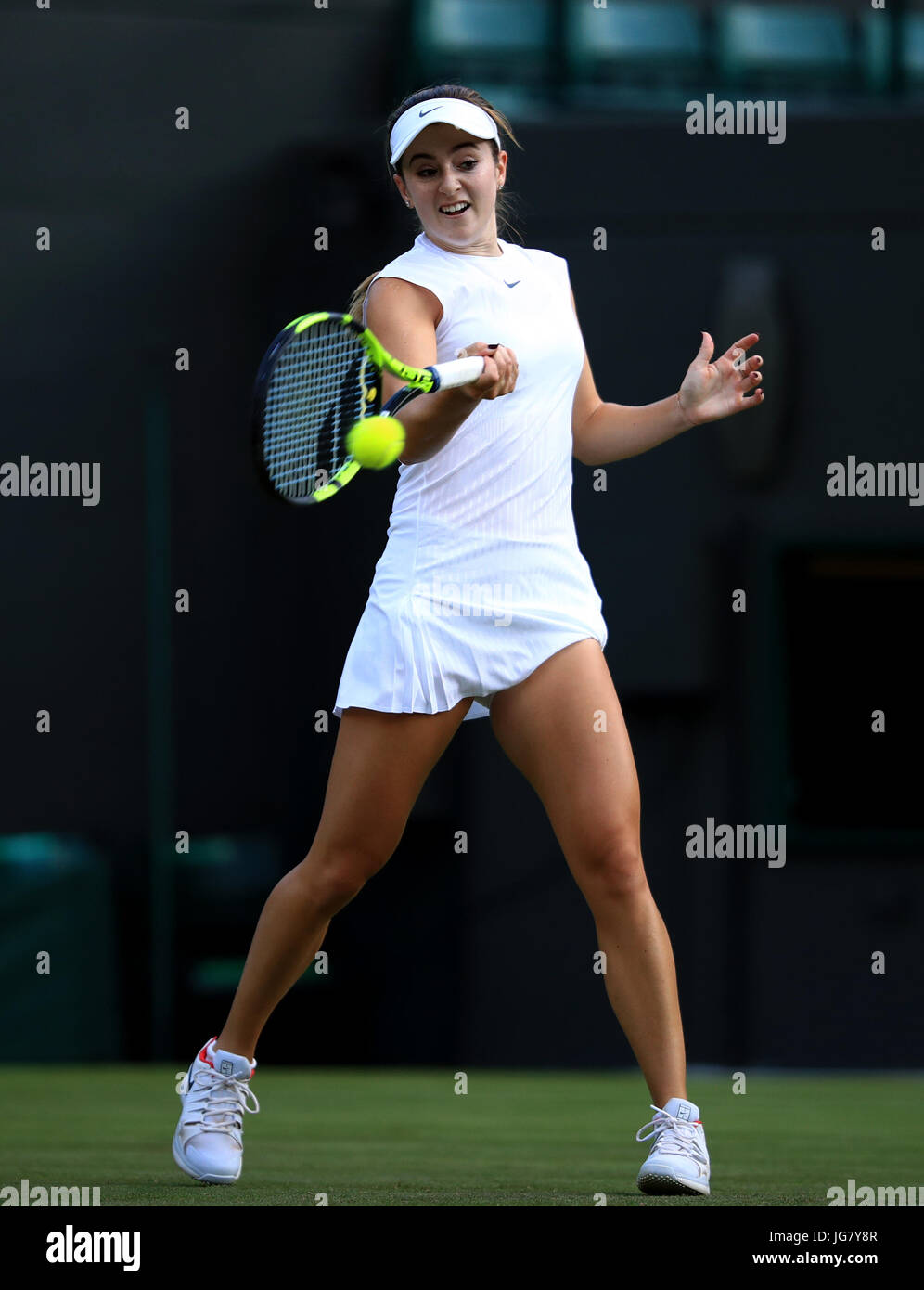 Cici bellis hi-res stock photography and images - Alamy