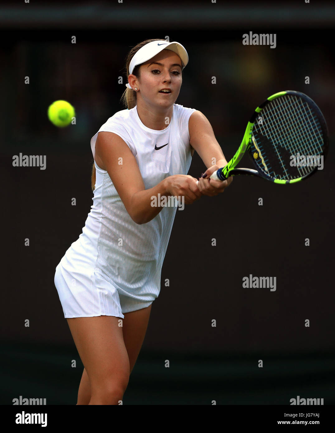 Cici bellis hi-res stock photography and images - Alamy