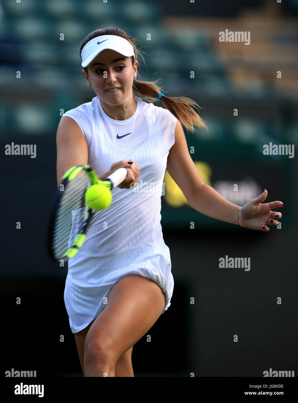 Cici bellis hi-res stock photography and images - Alamy