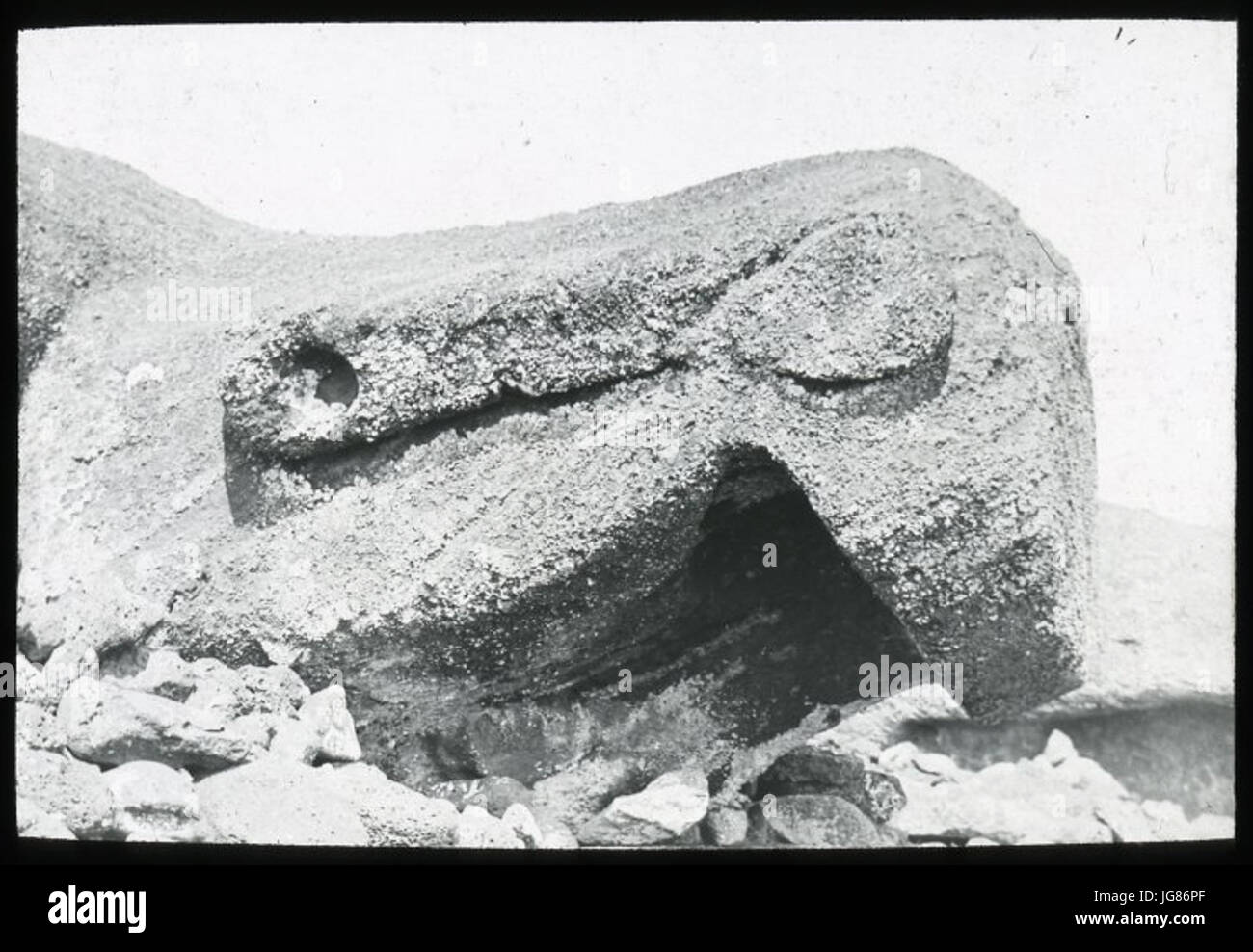 View of a moai head facing face down on the ground3B Ahu Tongariki OcG ...